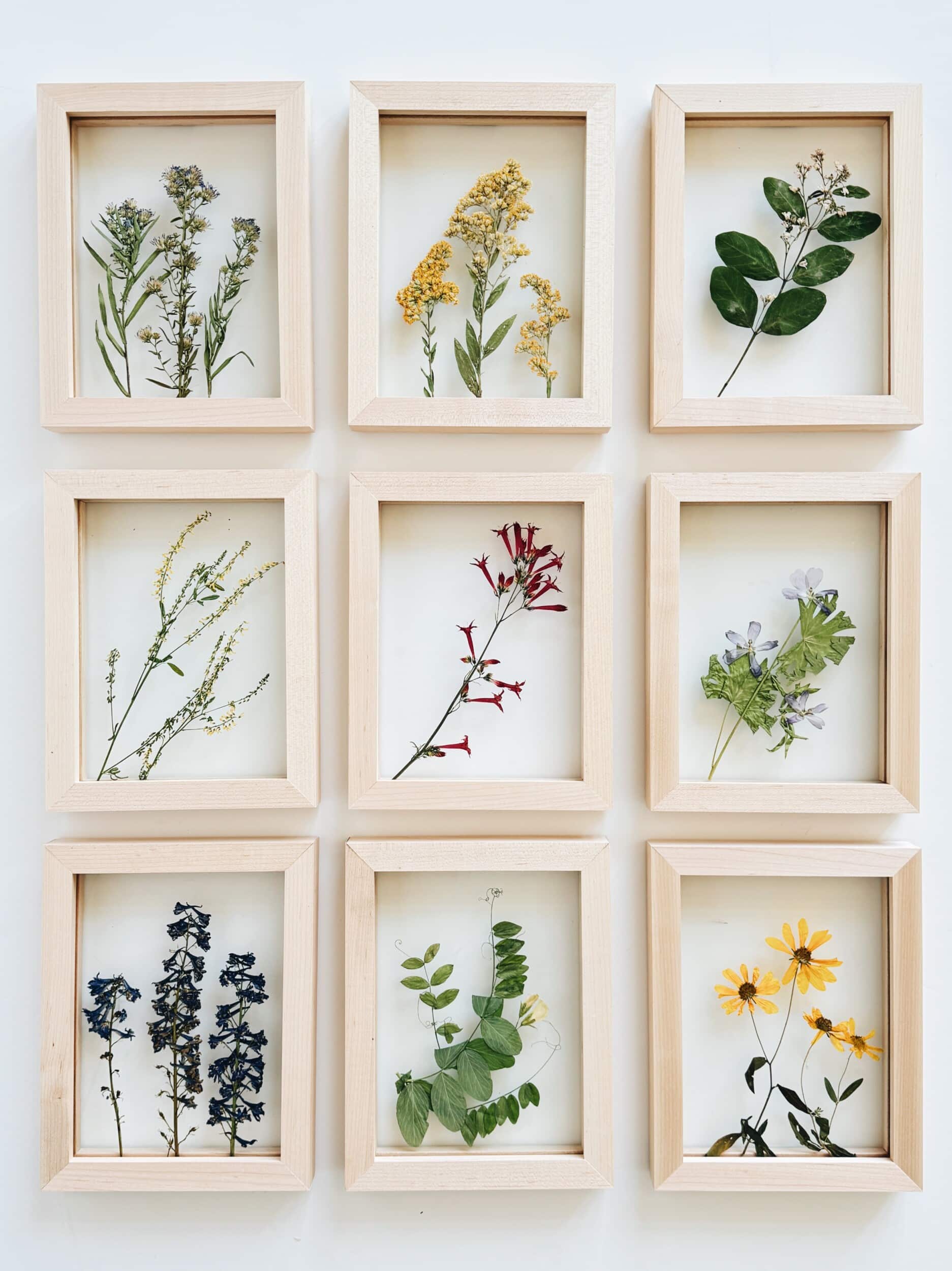 Artist Gallery Curated by Katherine Homes | Populus Denver